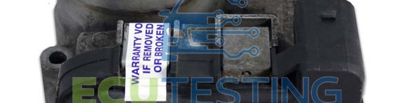 Volkswagen POLO Throttle Body